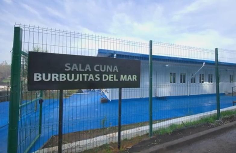 A solo meses de los incendios: Desafío Levantemos Chile y CMPC ...