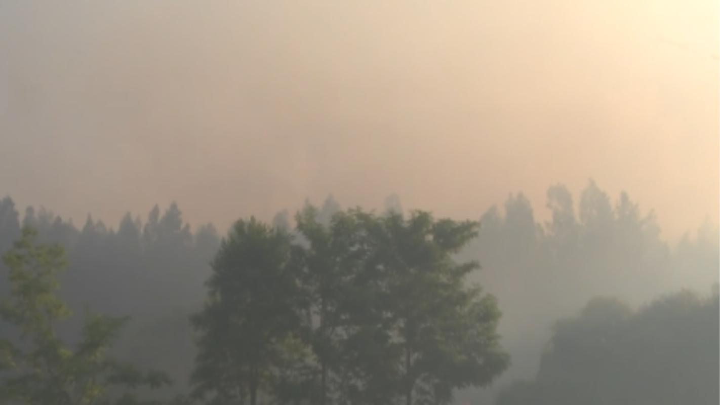 Alerta Roja en varias comunas: revisa incendios forestales