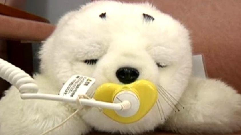 Foca robot entrega compañía a ancianos en China | T13