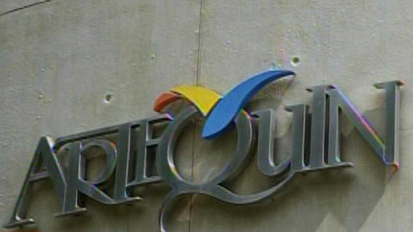 Museo Artequin de Viña del Mar celebró sus seis años de vida | T13