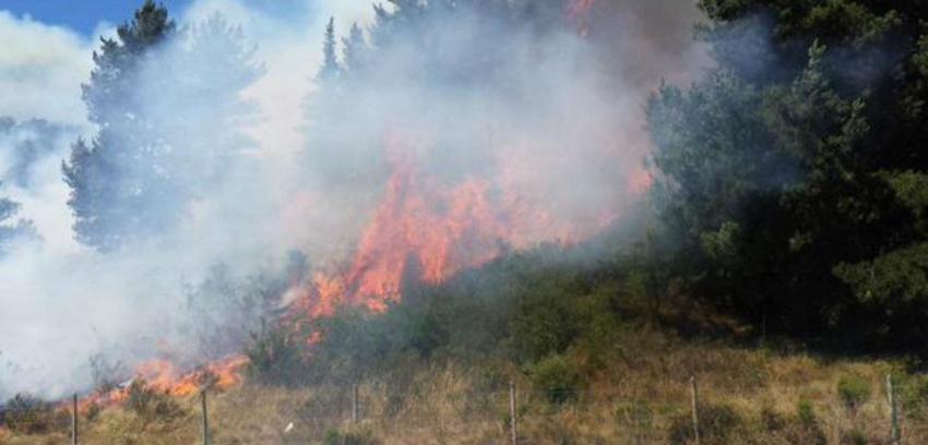 ONEMI declara Alerta Roja para Villa Alemana por incendio forestal | T13 ONEMI declara Alerta Roja para Villa Alemana por incendio forestal | T13