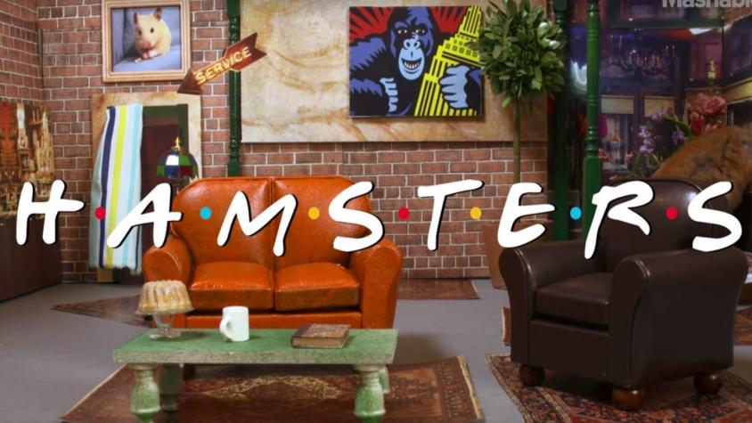 [VIDEO] Hamsters recrean opening de famosa serie "Friends"