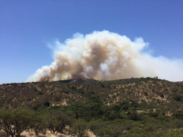 Onemi decreta alerta roja por incendio en Limache Onemi decreta alerta roja por incendio en Limache