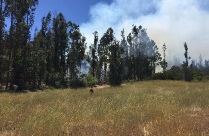 Onemi decreta Alerta Roja para Valparaíso por incendio forestal Onemi decreta Alerta Roja para Valparaíso por incendio forestal