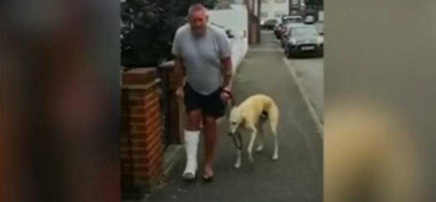 Hombre gastó 400 dólares para curar a su perro cojo