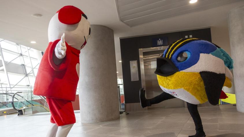 Fiu hizo la primera donación en la Teletón en un inicio marcado por los ...