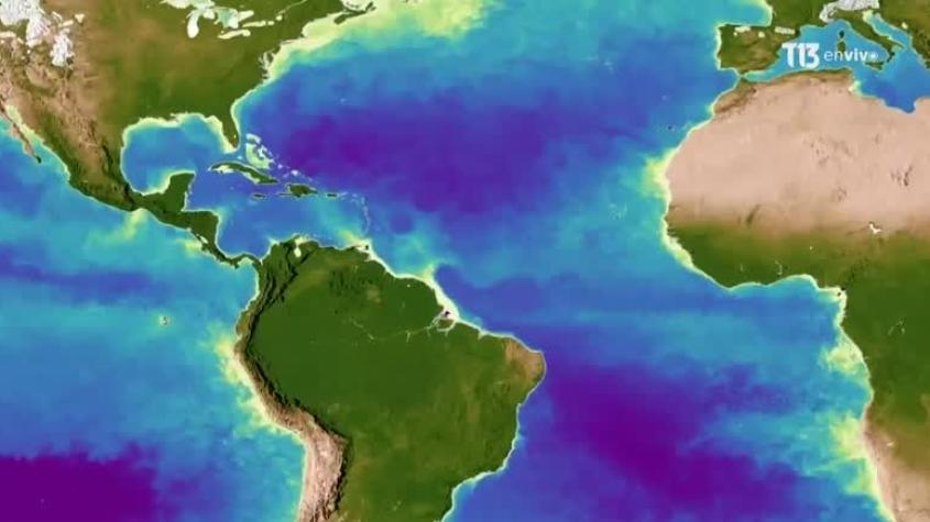 Agenda Sustentable: "Salud Planetaria" | T13