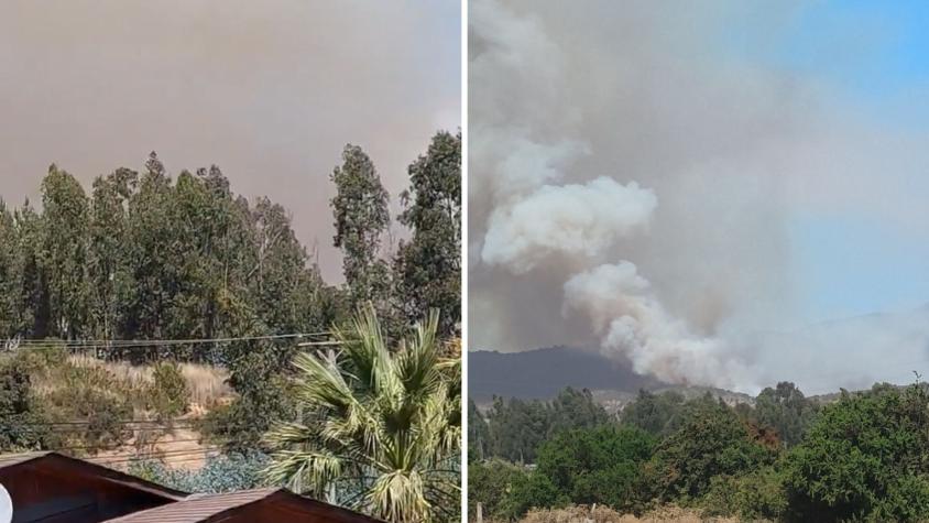 Solicitan evacuar sector en Puchuncaví por incendio forestal